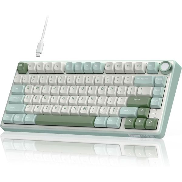 Royal Kludge RK R75 RGB Mechanical Keyboard, Brown switch, Hot ...